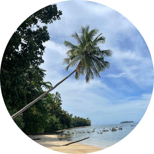 Village stays and Beqa Walk – Fiji Homestays